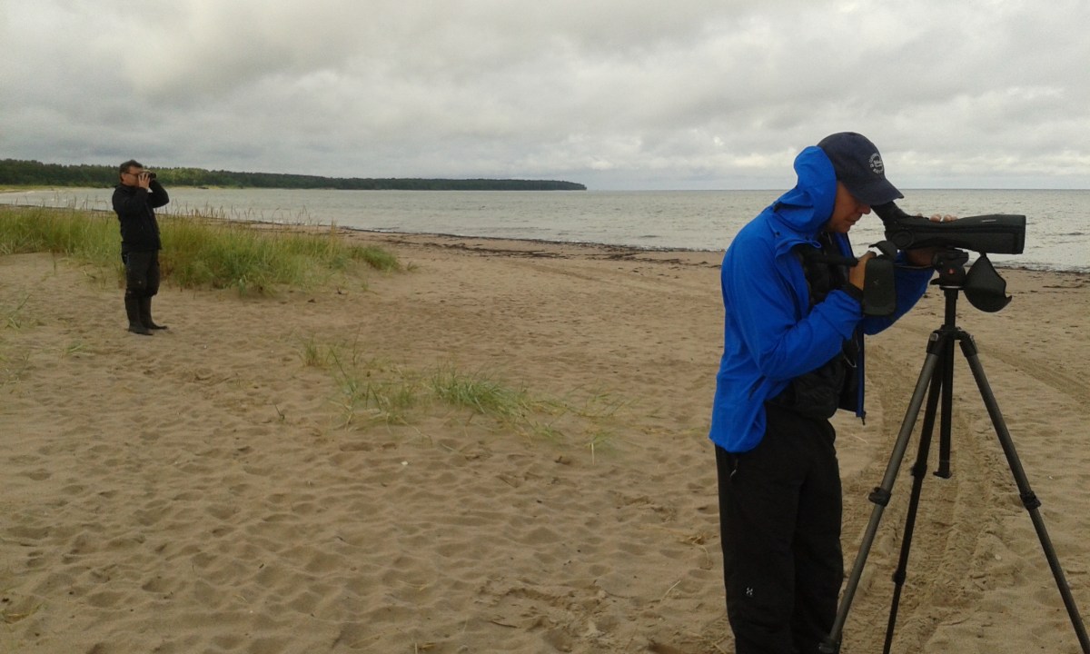 Kõrgessaare ja Luidja, HIIUMAA – Viron retkiopas